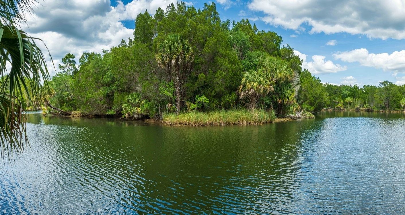Crystal River National Wildlife Refuge | Crystal River National ...