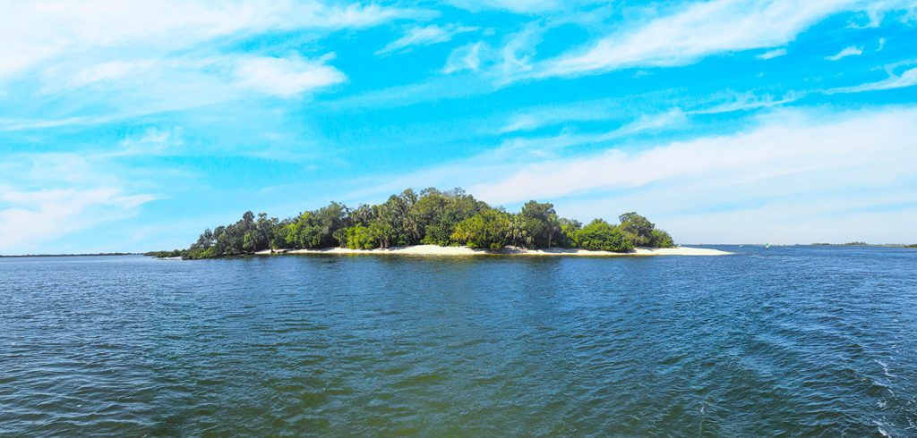 Homepage | Crystal River Preserve Adventures