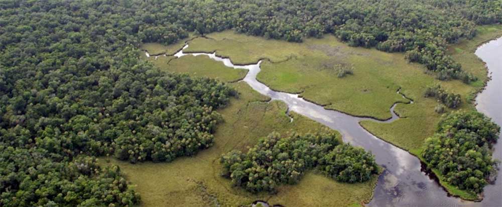 Crystal River: Why You Should Experience the River Tour & Sunset Voyage ...